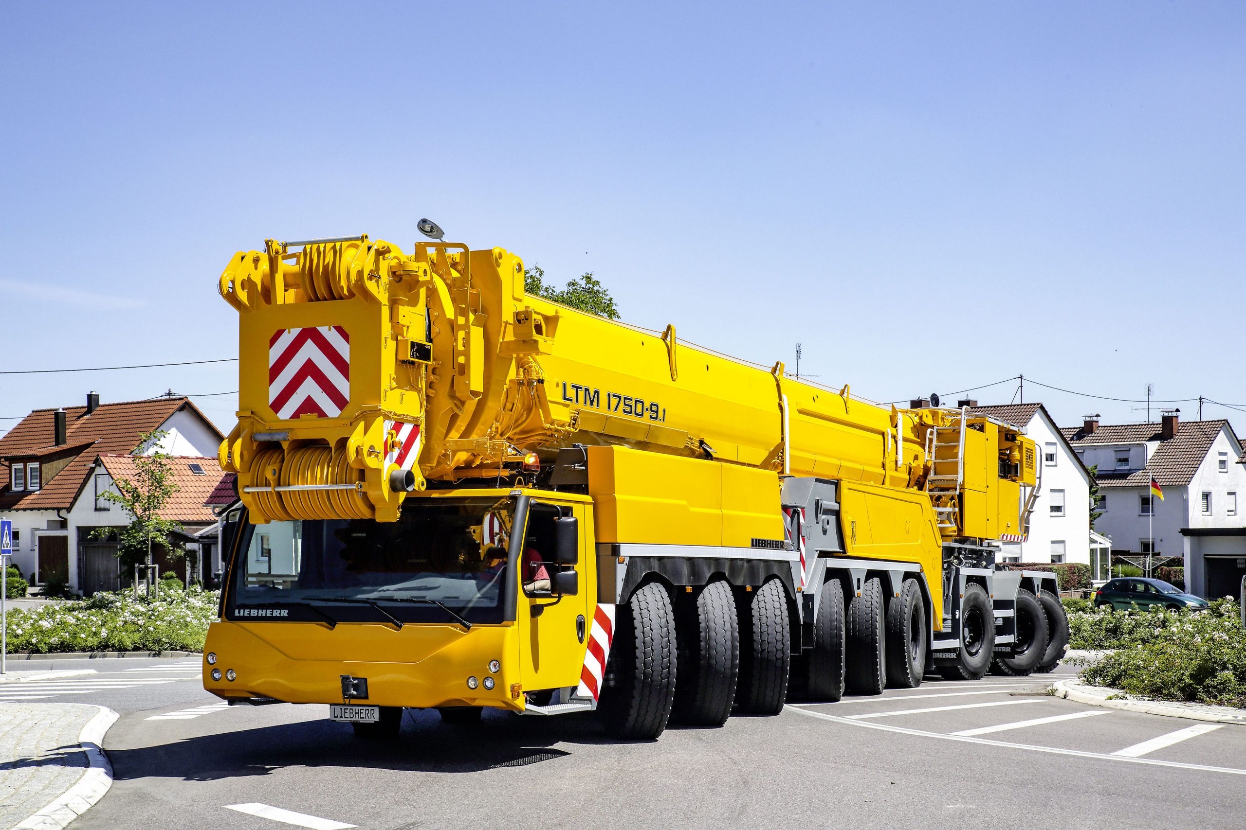 Jinert storshoppar – 15 nya kranar på ett bräde