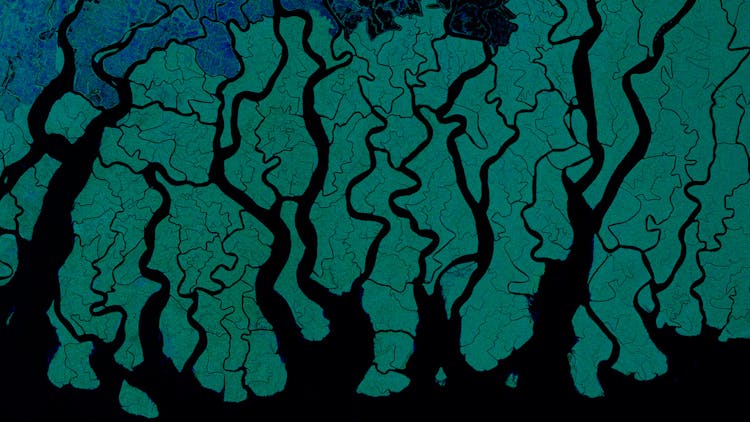 Earth & Space Observation | MDA Space