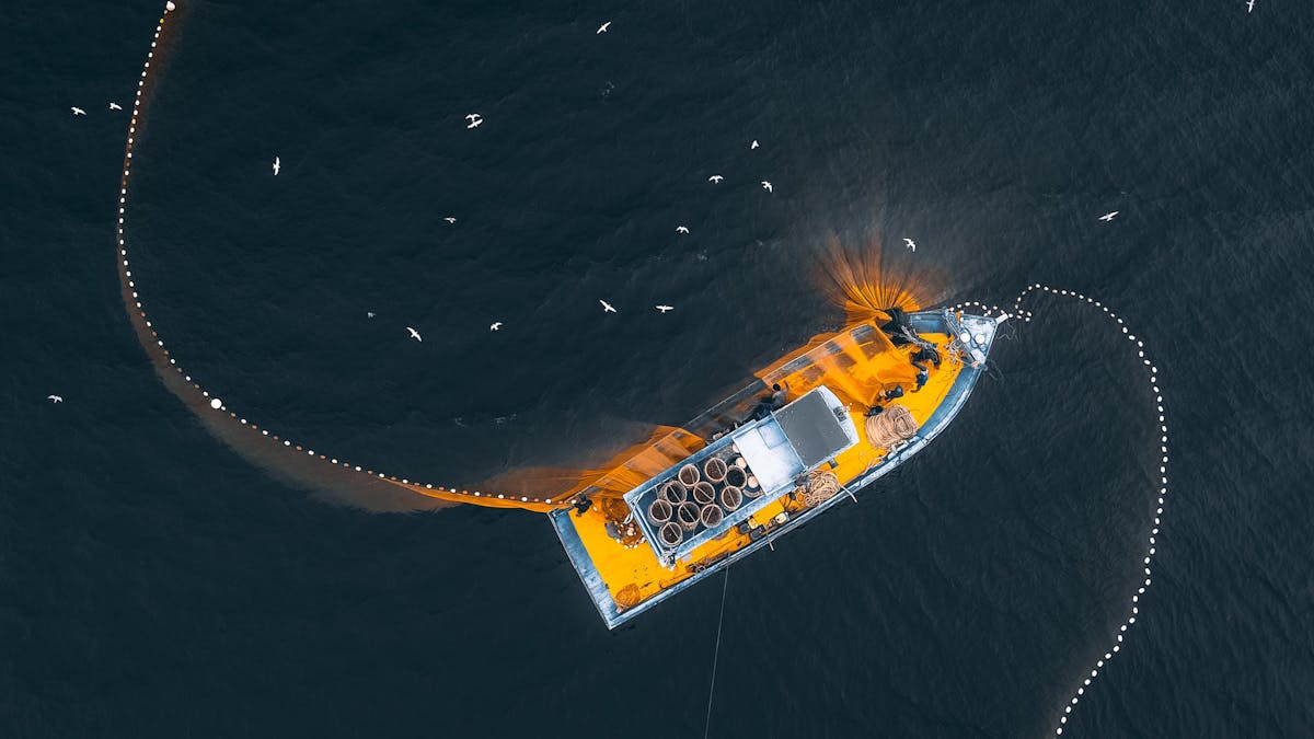 Dark Vessel Detection | MDA Space