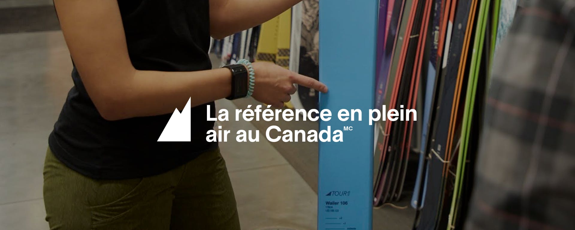 Conseils et expertise | MEC