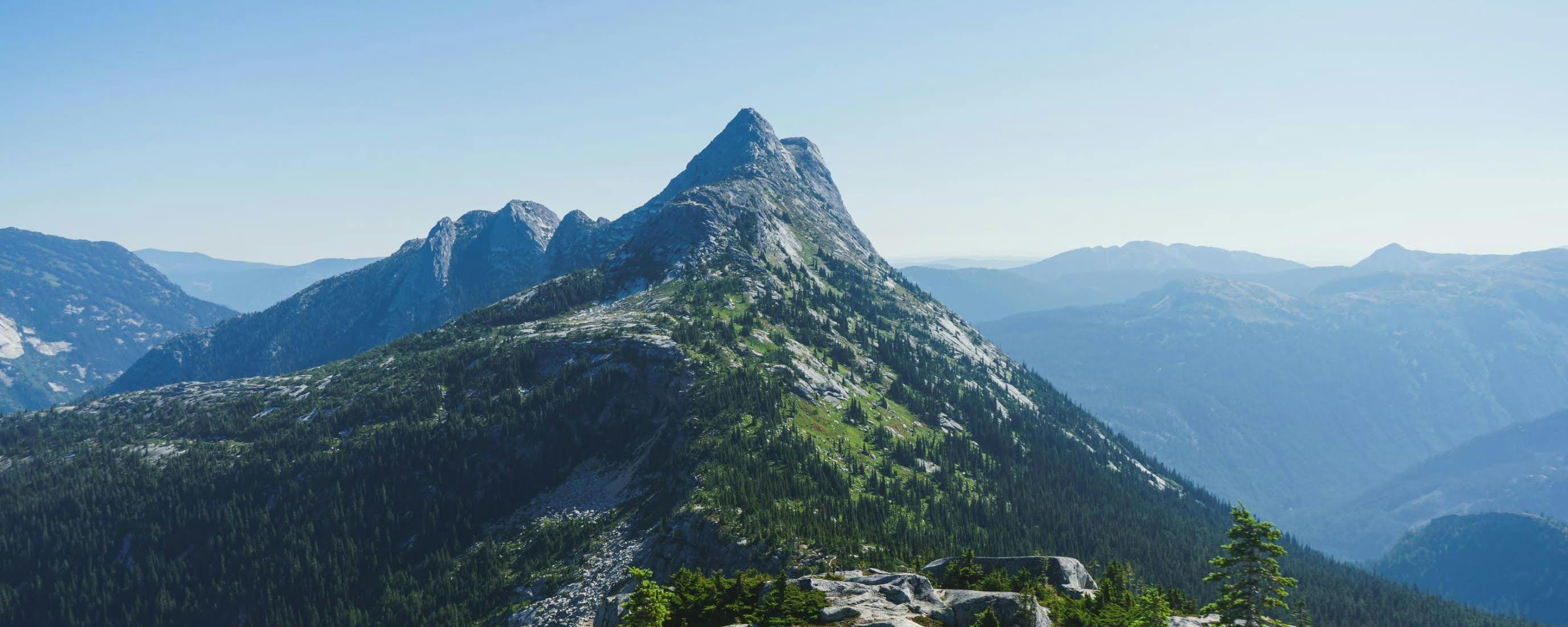 Leadership at MEC | MEC