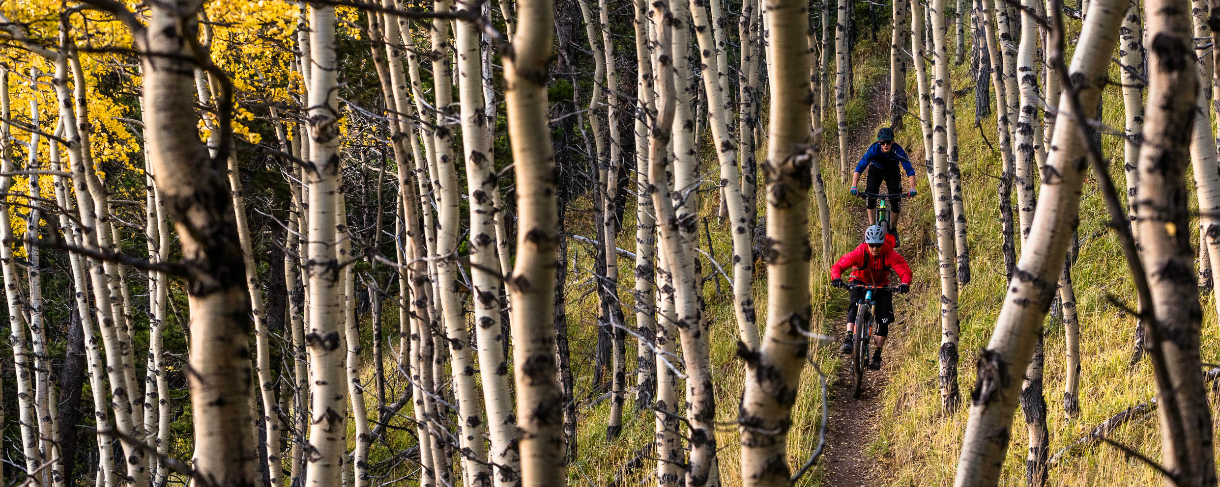 Trail tips: Where to mountain bike in Calgary | MEC Blog | MEC