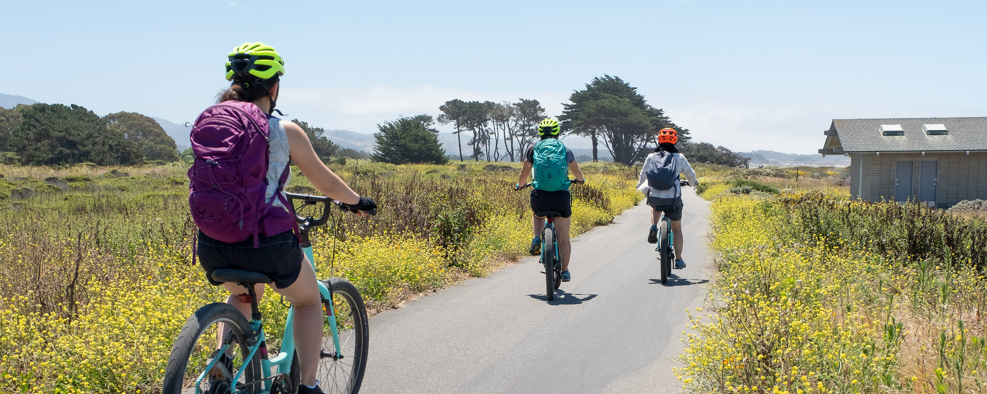3 reasons to explore a new country by bike | MEC