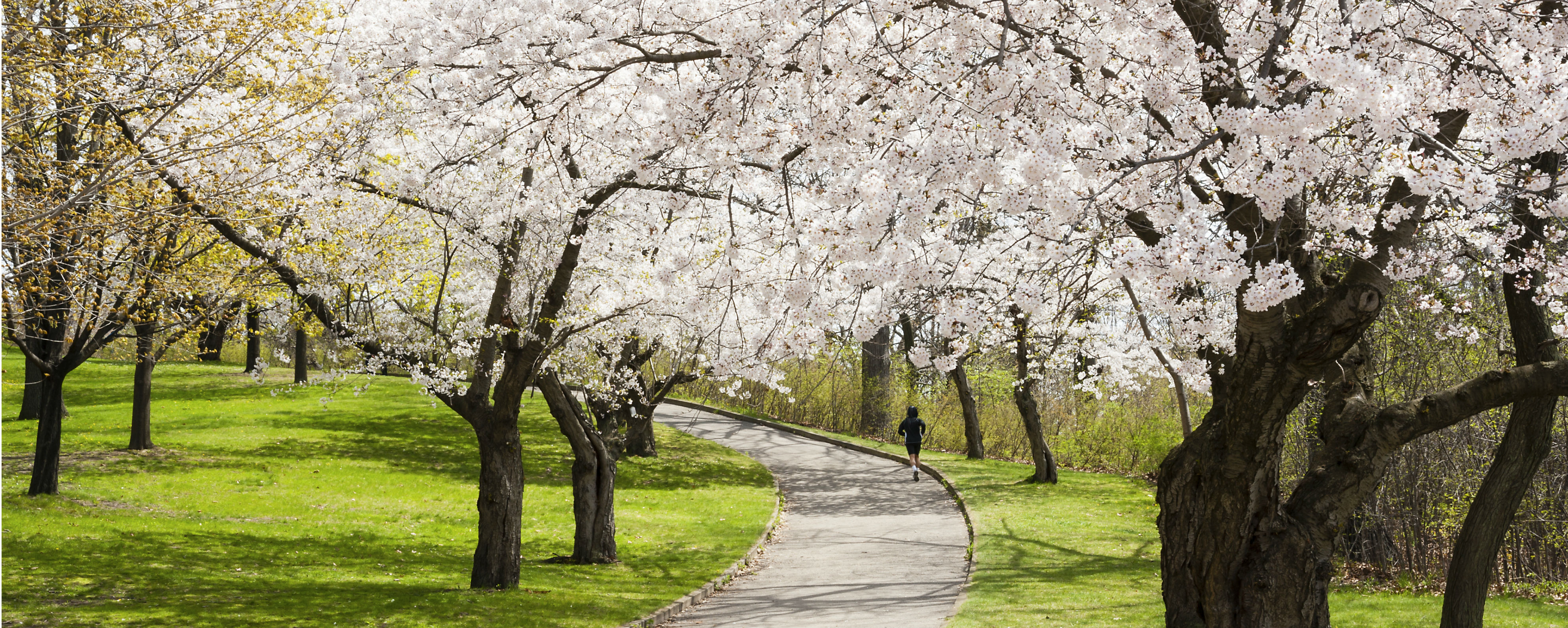 Awesome running routes in Toronto | MEC