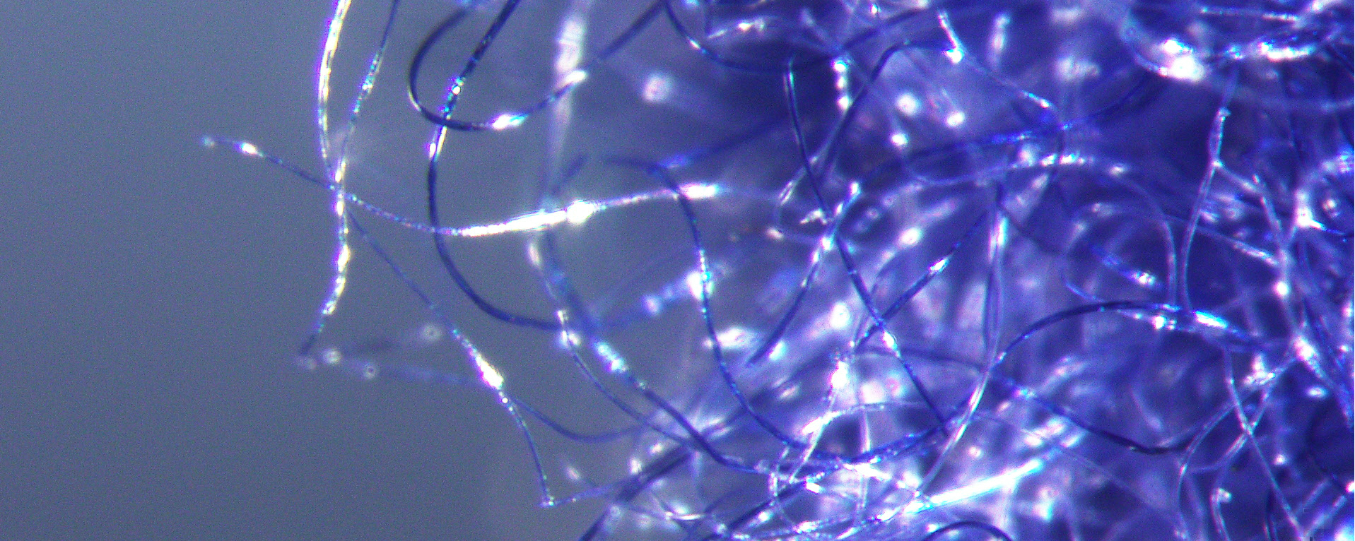 Microplastics and microfibres | MEC