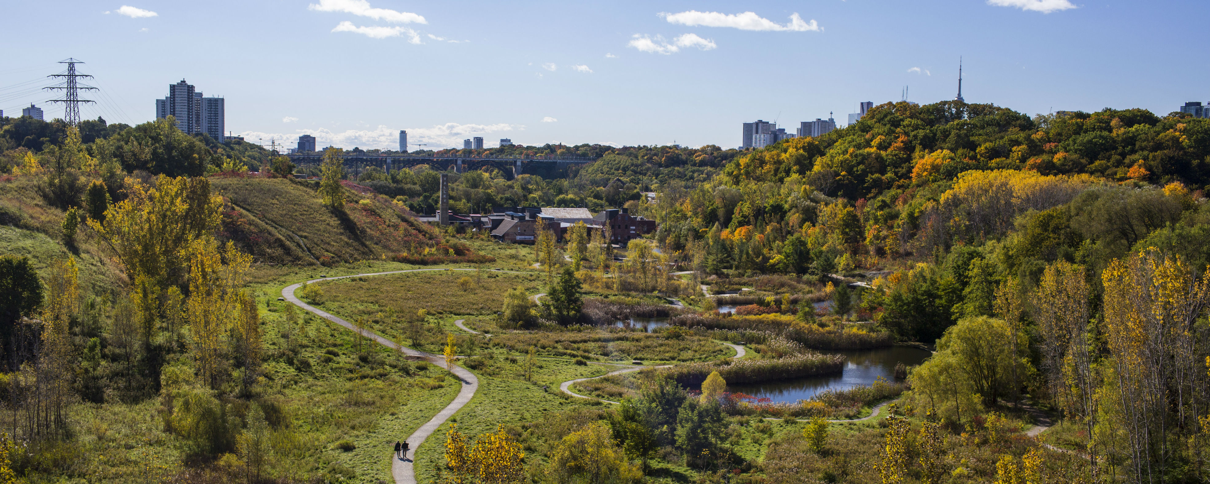 Where to trail run near Toronto | MEC
