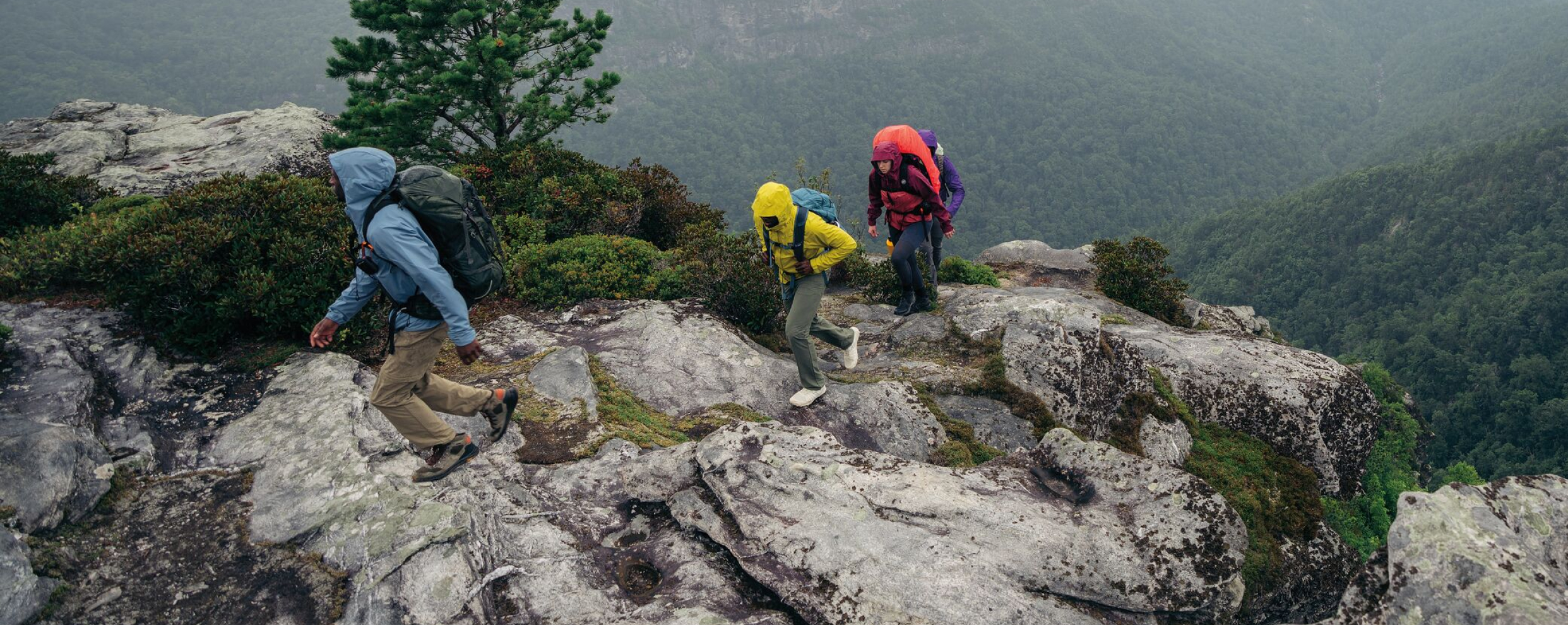 Outdoor Tips, Tricks, Inspiration and Activities | MEC Blog