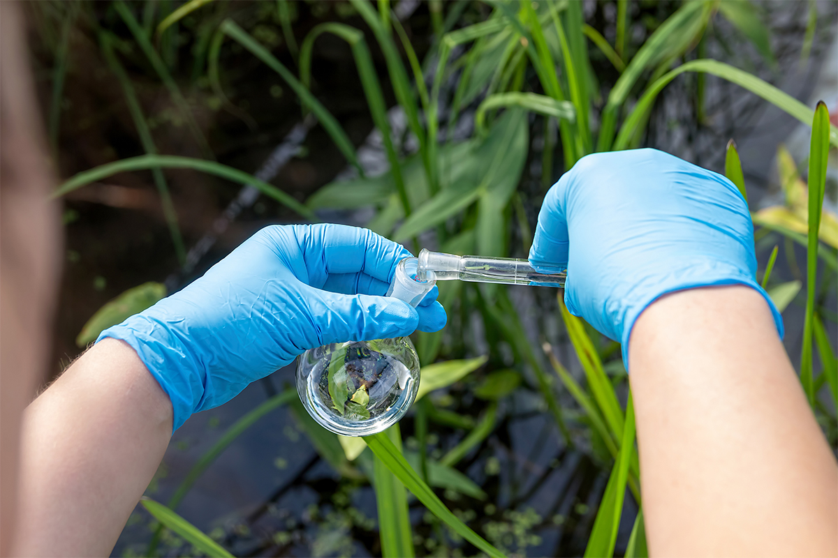 EPA Launches Pesticide Investigation Councils | MedTruth - Prescription ...