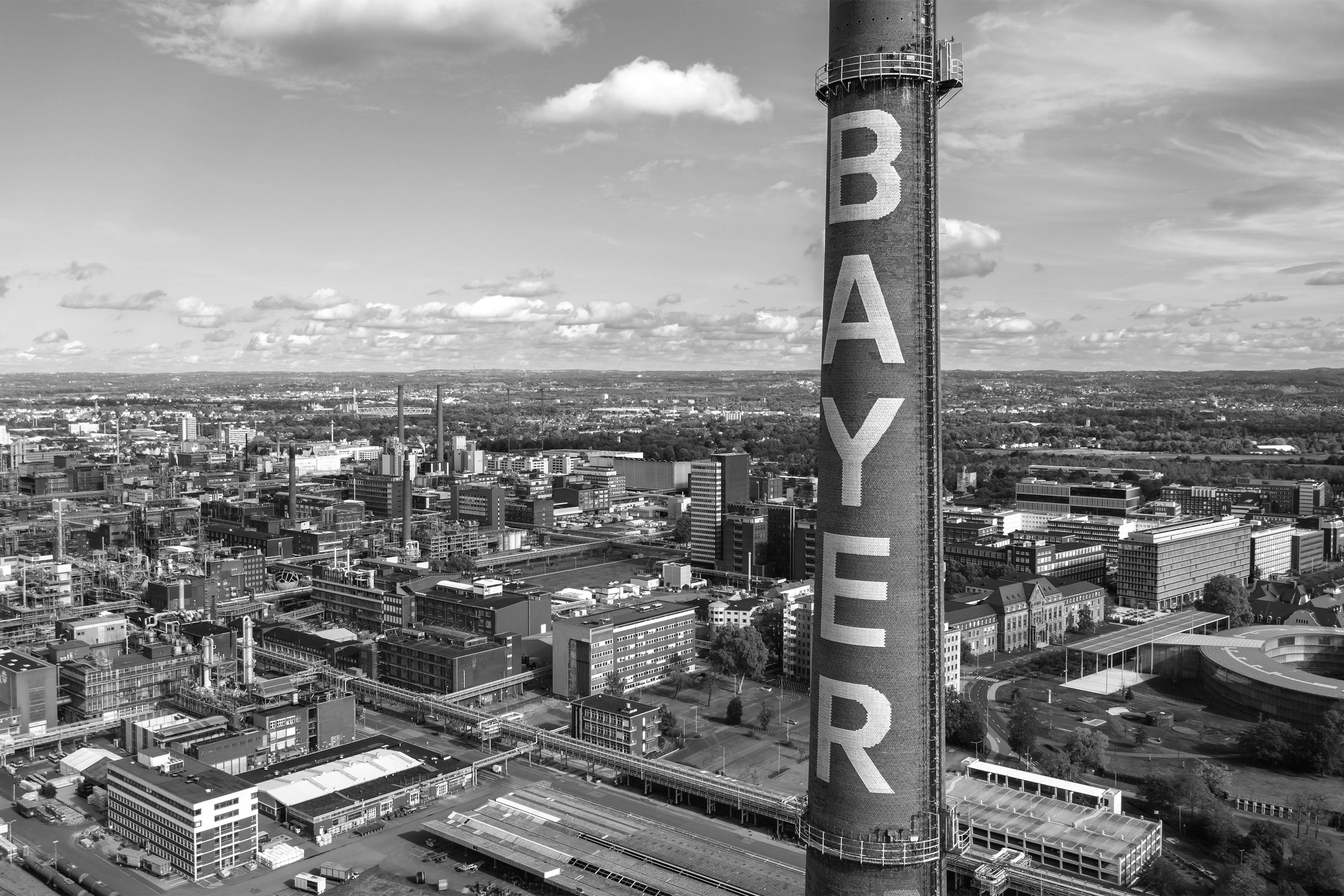 Bayer Granted Roundup Case Rehearing | MedTruth - Prescription Drug ...