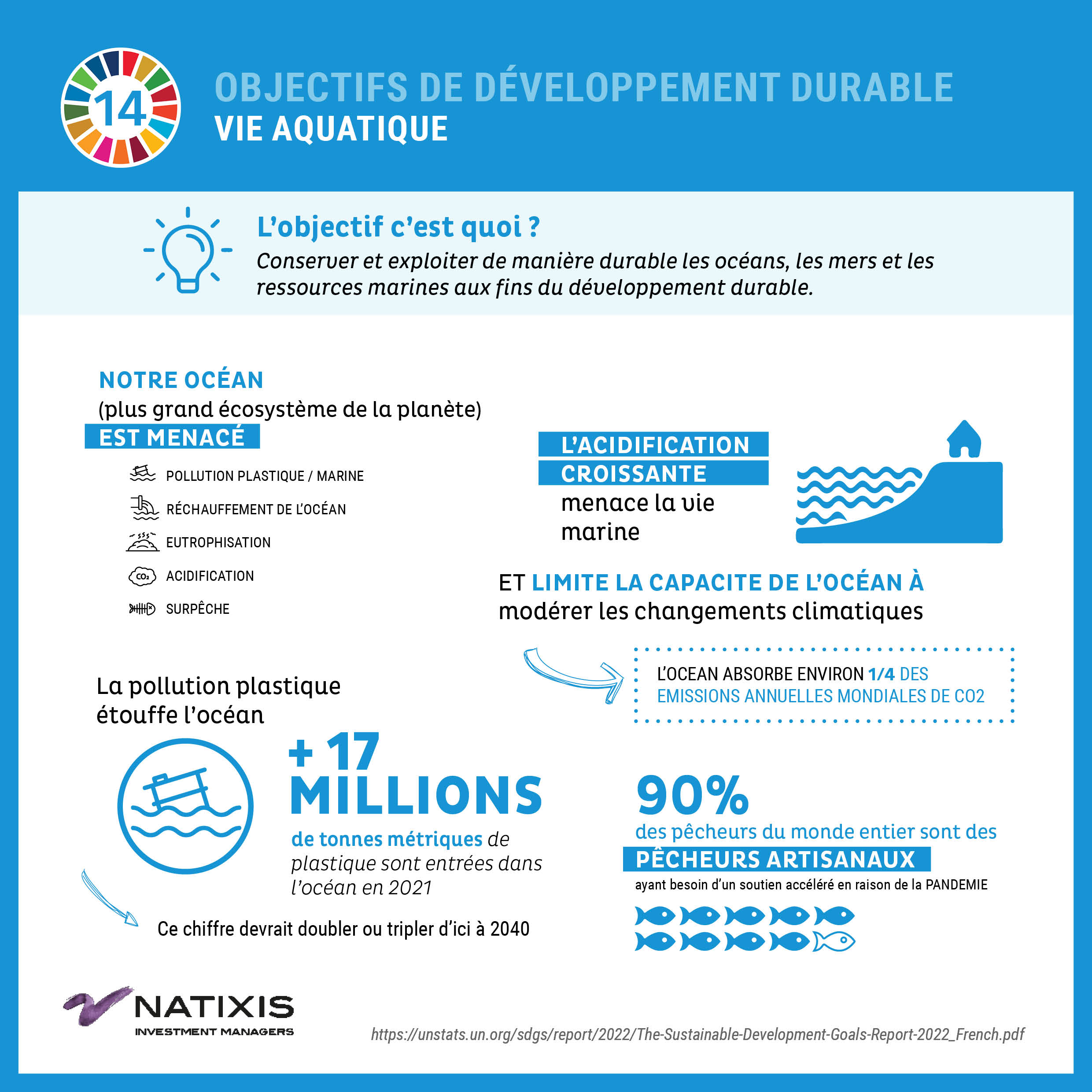 La vie aquatique : quatorzième ODD de l'ONU