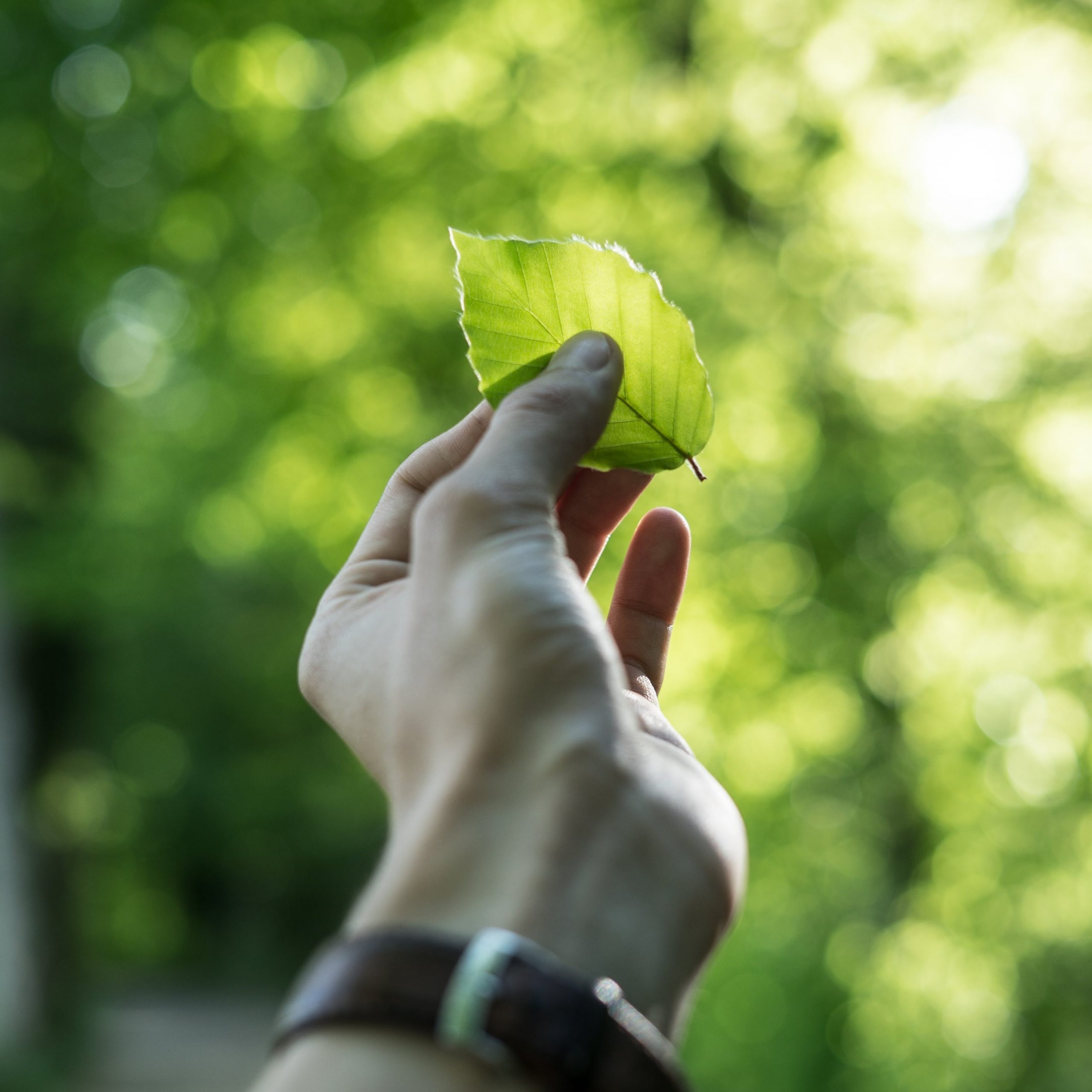 Infographie : la finance durable, qu'est-ce que c'est