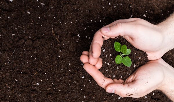le compost humain, alternative aux funérailles traditionnelles
