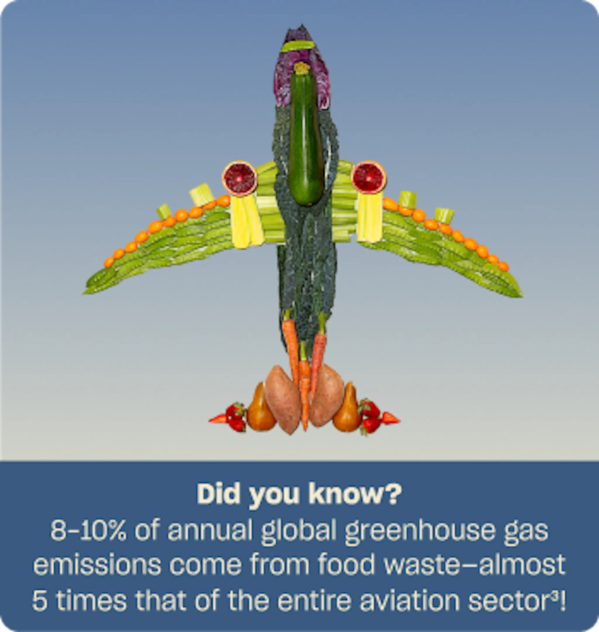 How To Reduce Food Waste | Misfits Market