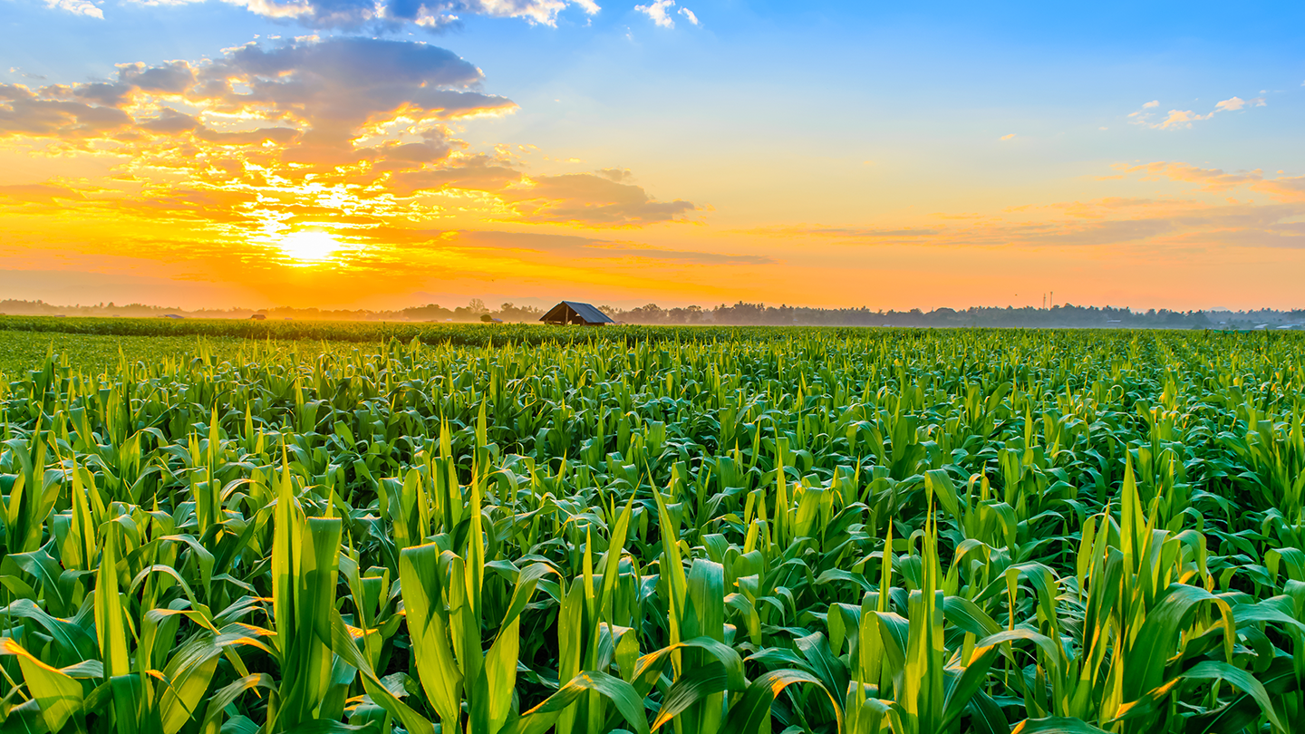 CropLife Latin America