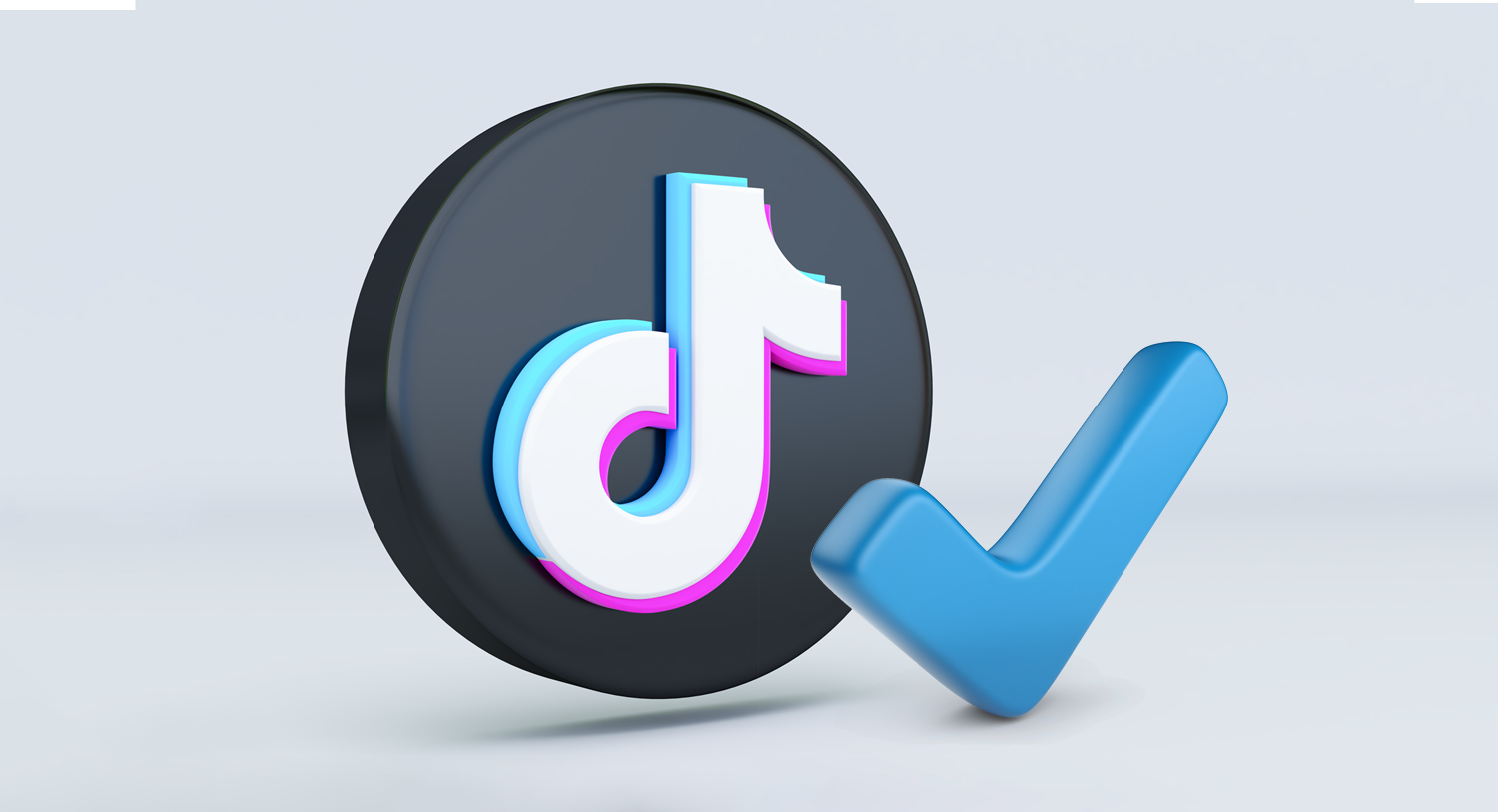 How To Get Verified on TikTok - Get the Blue Tick