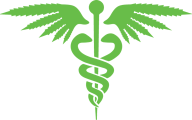 Meet Mercy Wellness Founder & CEO Brandon Levine