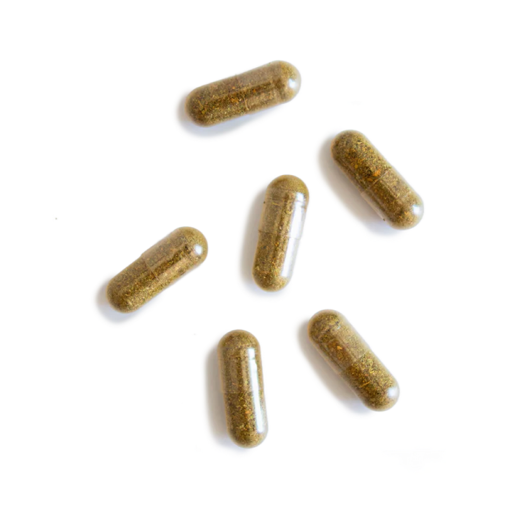 EMERALD BAY EXTRACTS - 1:1 GUSH MINTS RSO TABLETS 40 PACK 1000MG