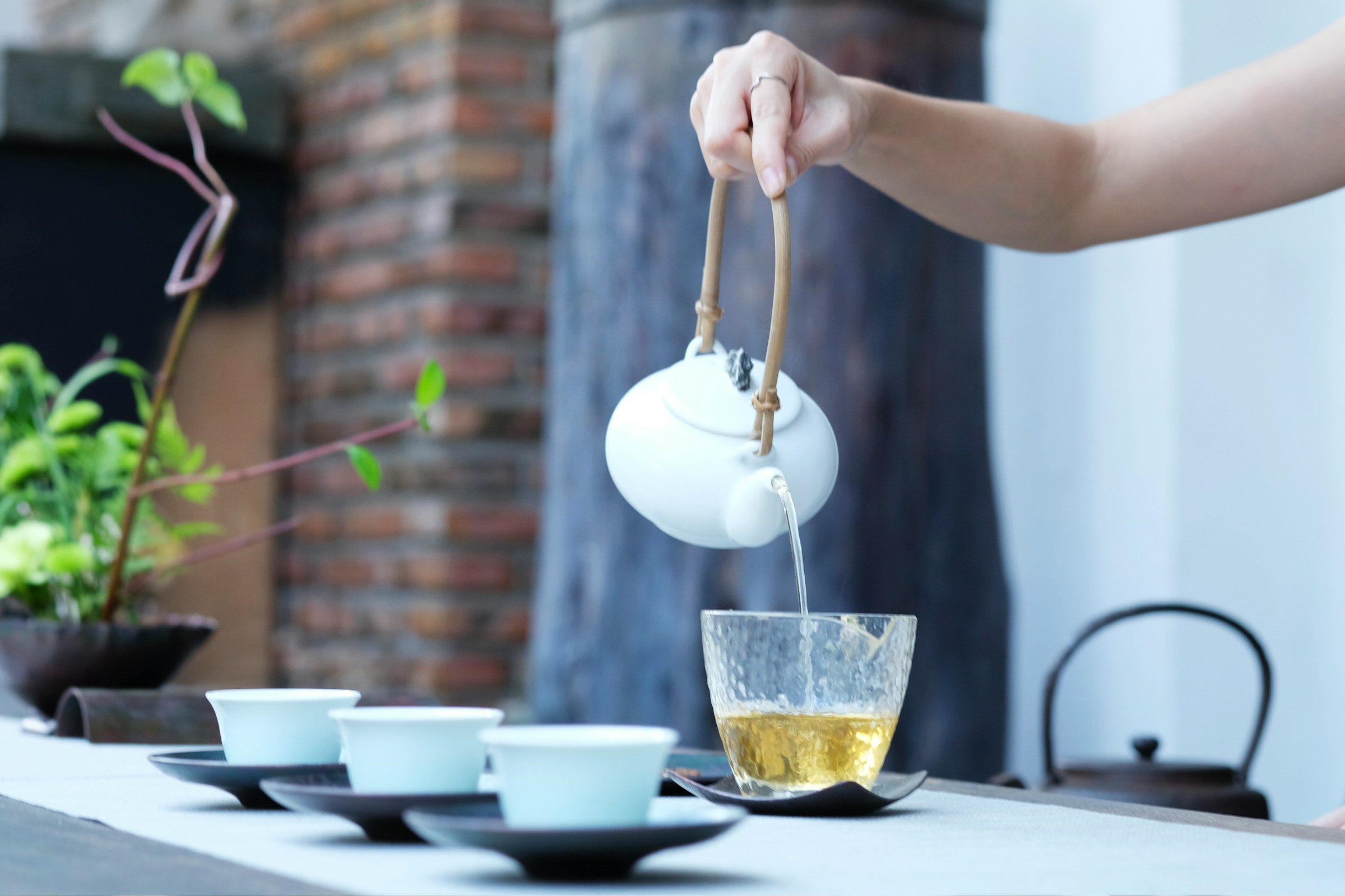 Natural Alternatives to Metformin for Weight Loss: What Actually Works ...