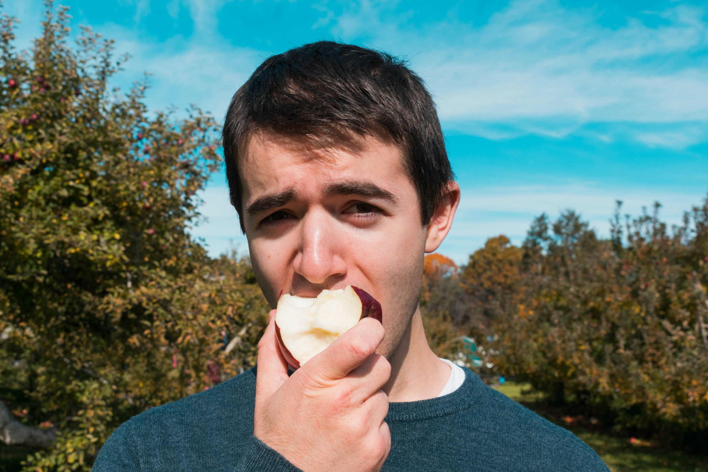 How Many Carbs Are in an Apple? Size, Types & Net Carbs | Meto blog
