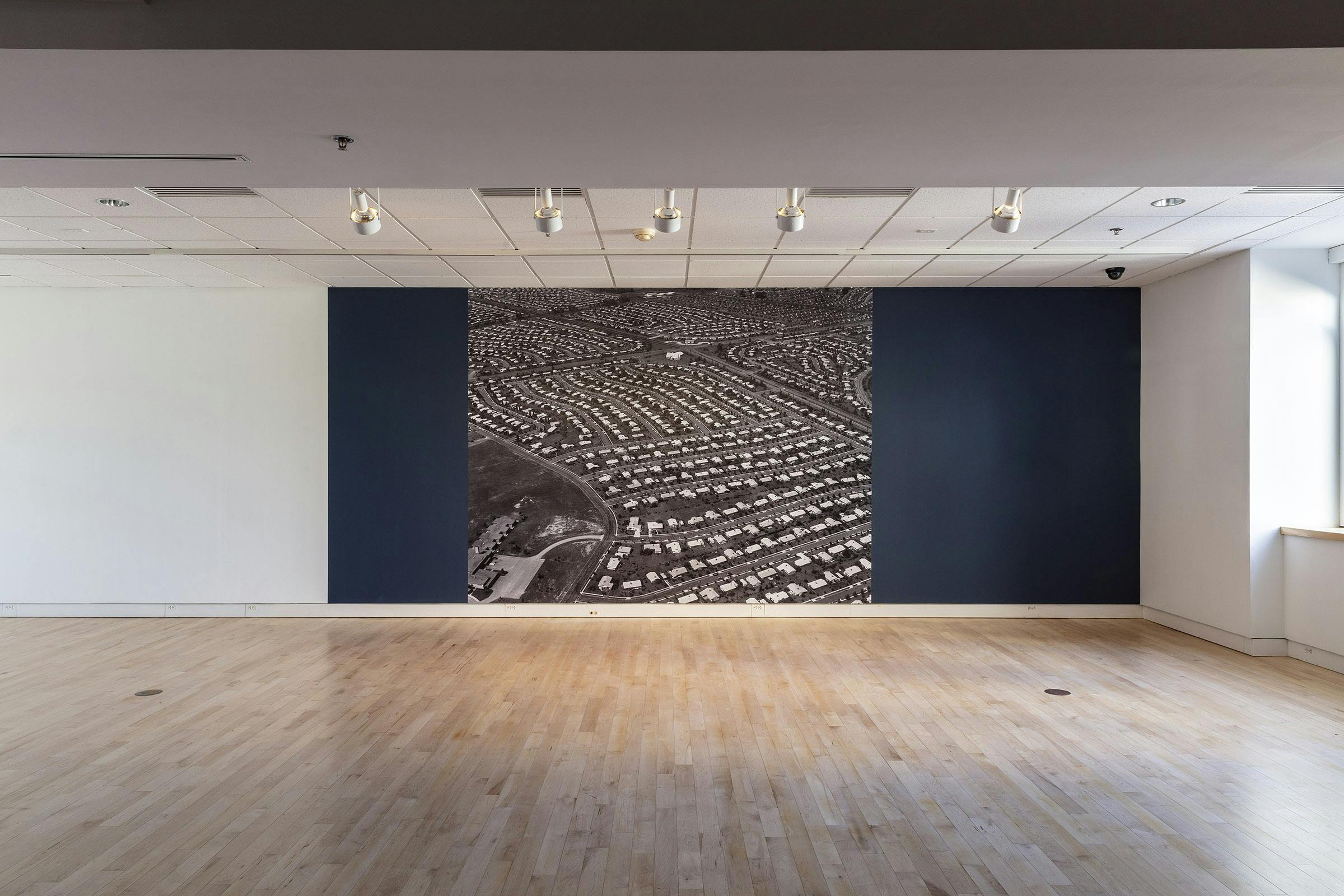 Dara Birnbaum: Journey - Miller Institute for Contemporary Art