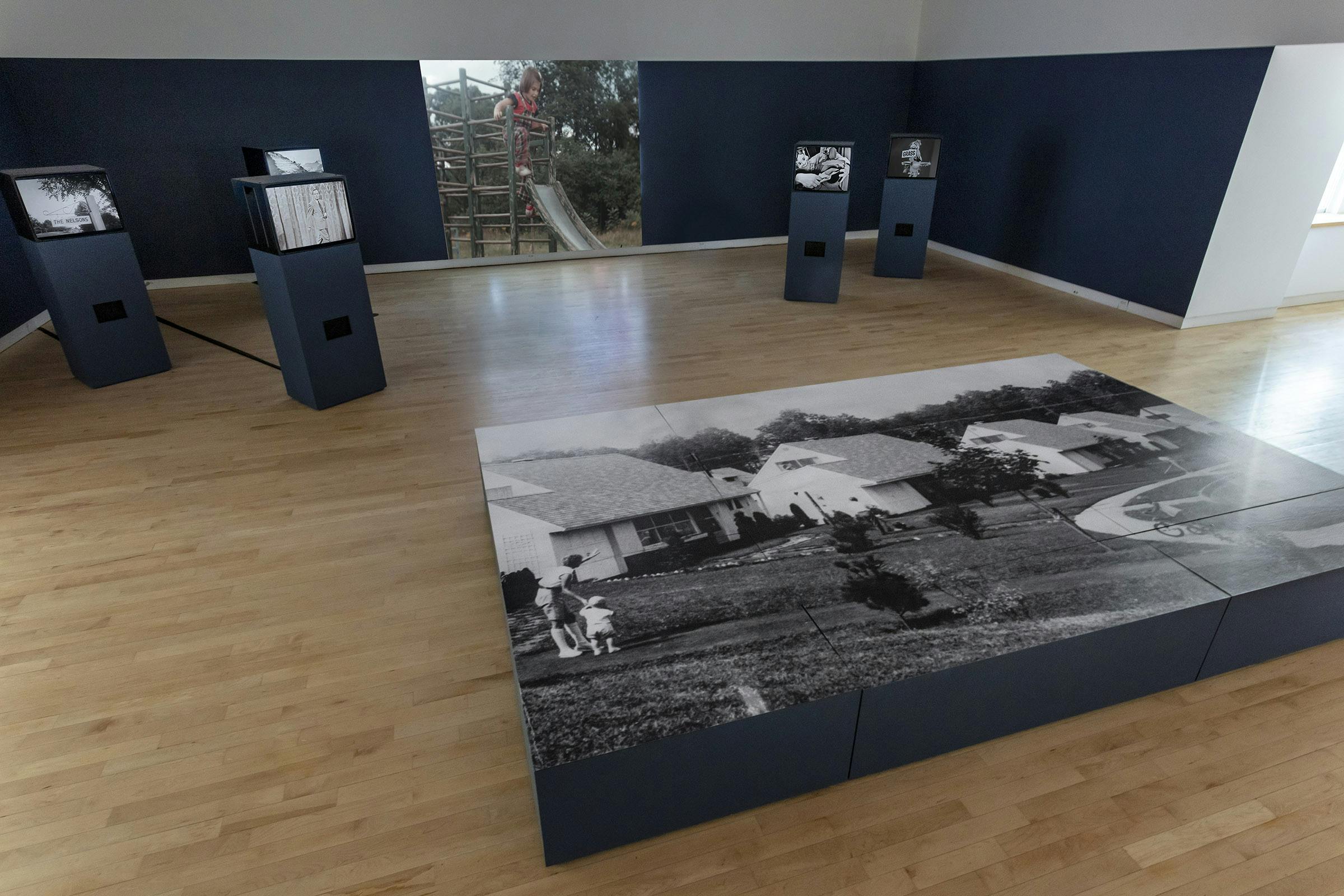 Dara Birnbaum: Journey - Miller Institute for Contemporary Art