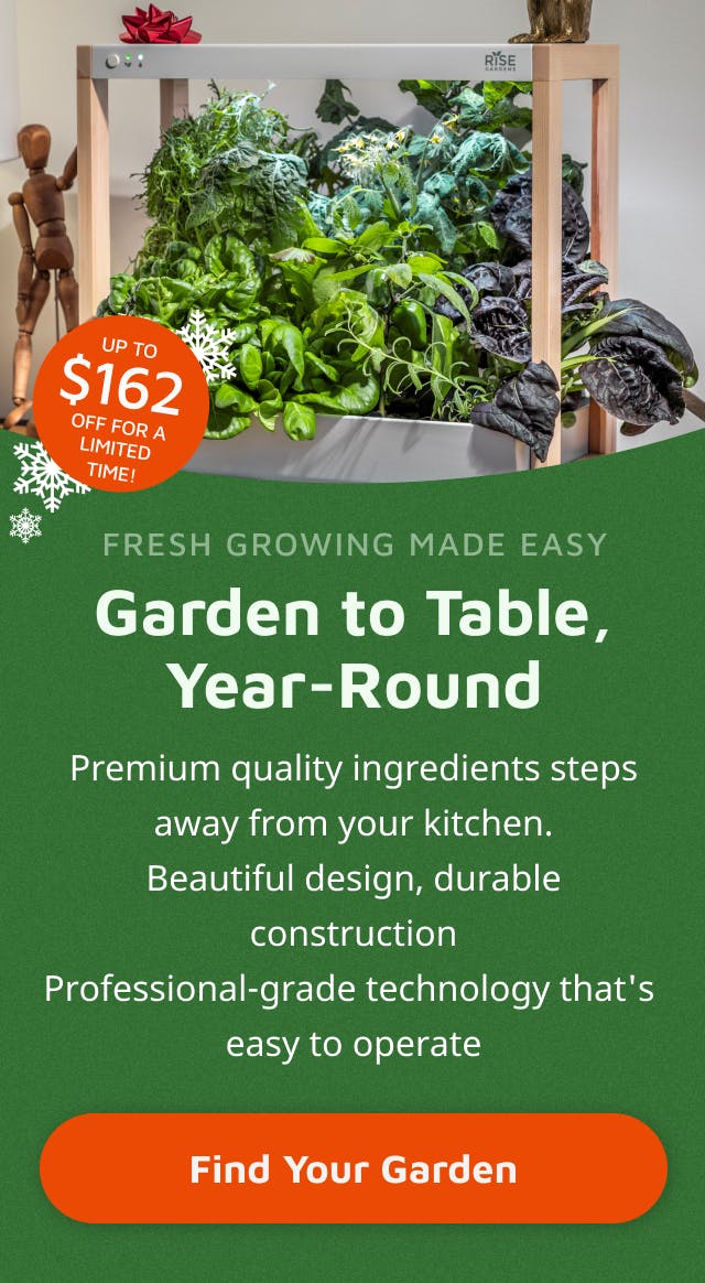 Holiday Exclusive: Save up to $162 for a limited time!