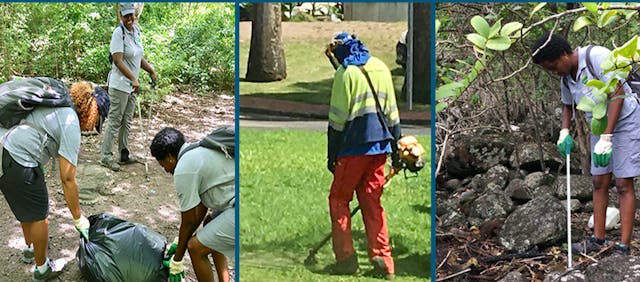 MNT - PAMAL : un accompagnement sur mesure pour prévenir les TMS