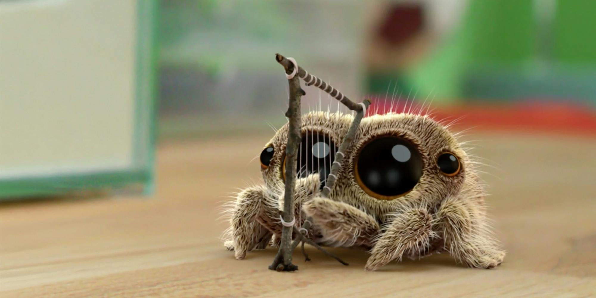 Lucas the Spider | MOCEAN