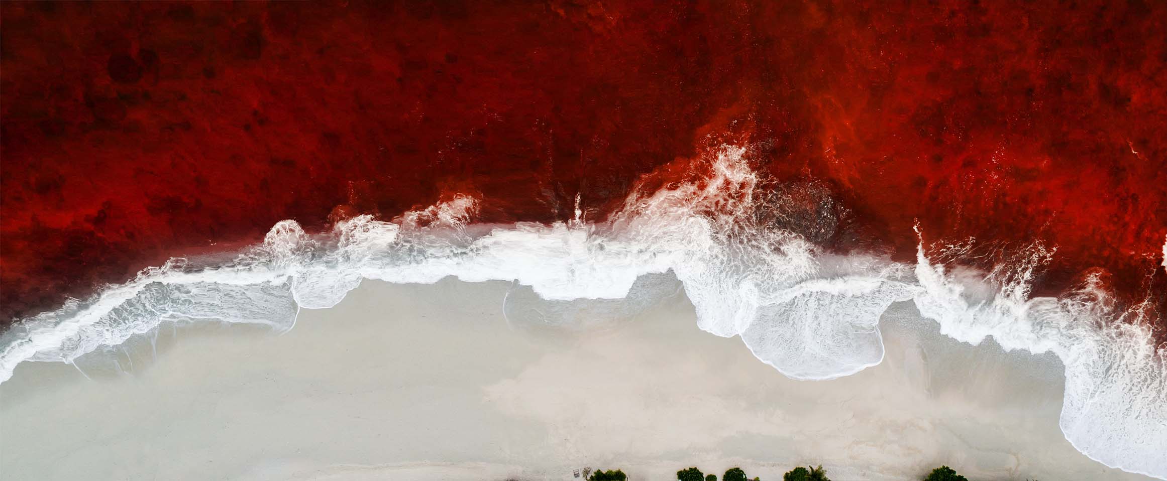 The Red Wave That Really Matters | Articles | AskDrBrown | Your voice ...