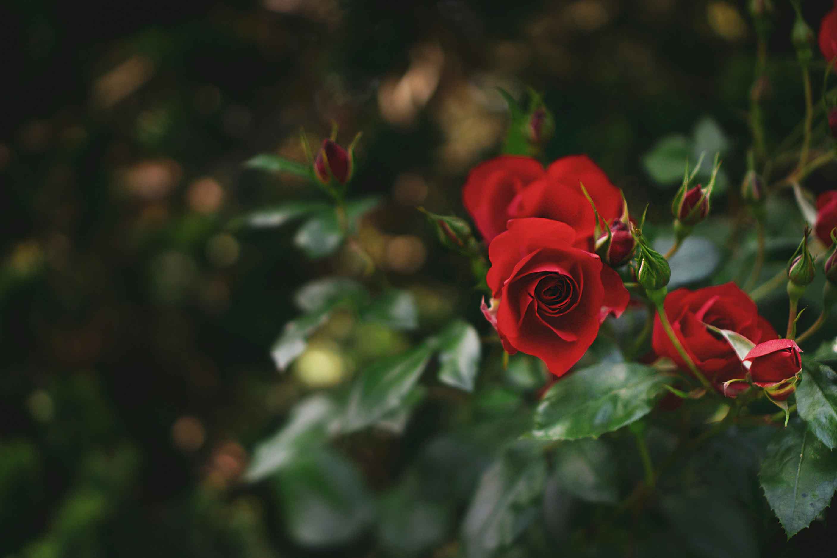 The Refiner’s Fire, Divine Pruning, and the Prayer Movement | Articles ...