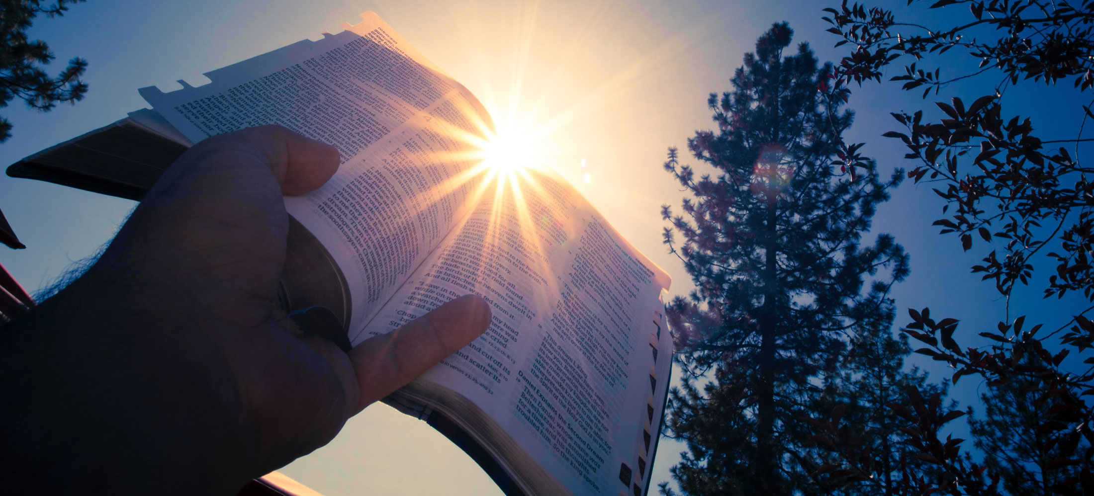 We Need God | Article | AskDrBrown | Your voice for Moral Sanity and ...