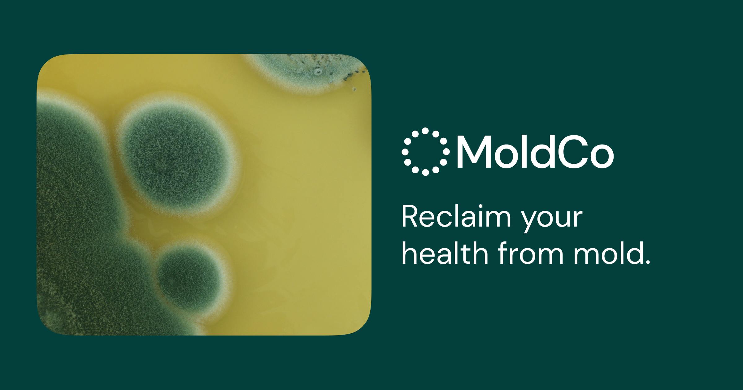 Mold Testing in Miami, Florida | MoldCo