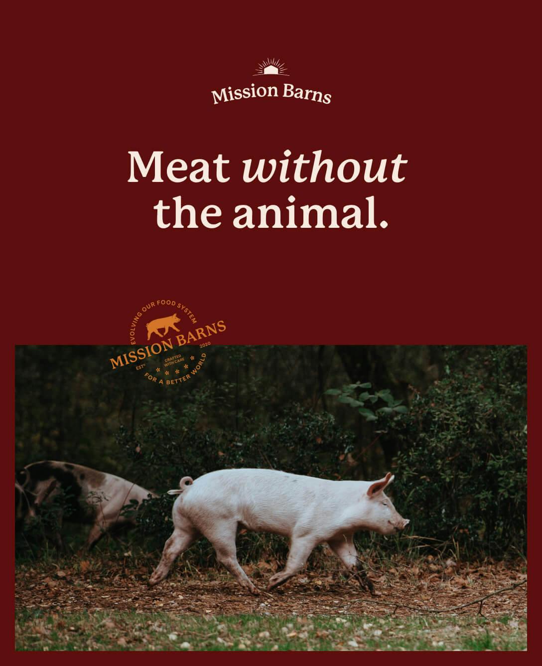 Mission Barns ‣ Cultivated Meat | Website and Branding | monopo london