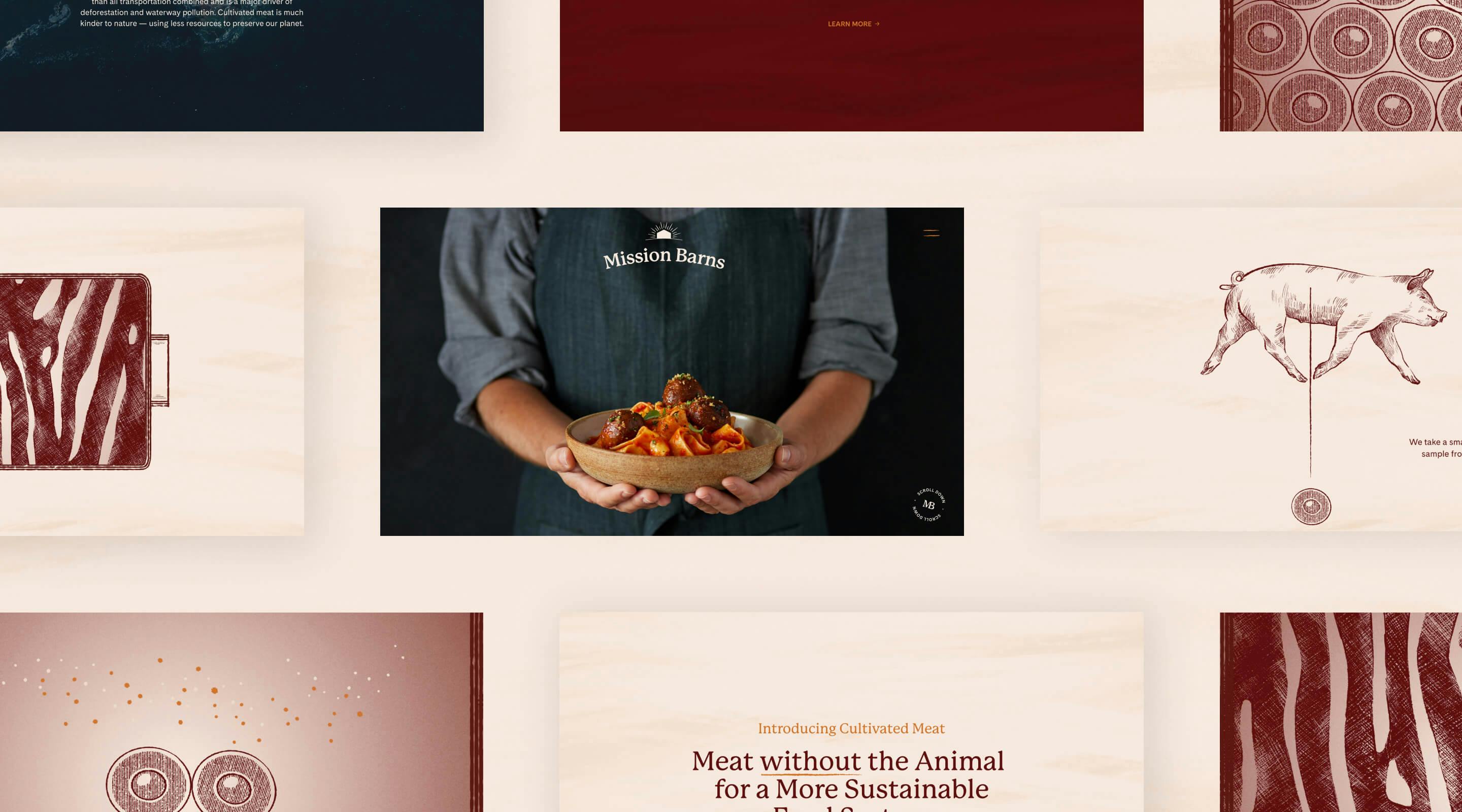 Mission Barns ‣ Cultivated Meat | Website and Branding | monopo london