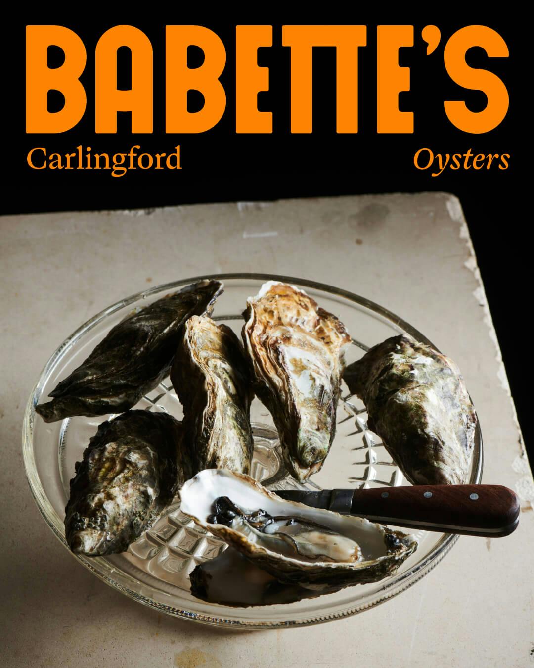 BABETTE'S ‣ Branding ‣ Food, Glorious Food!