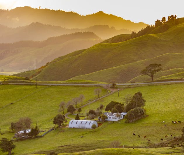 Mootral | Enterix™