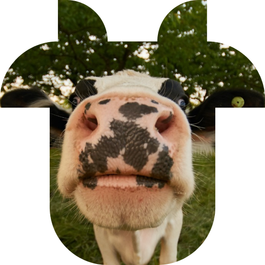 Mootral | Enterix™