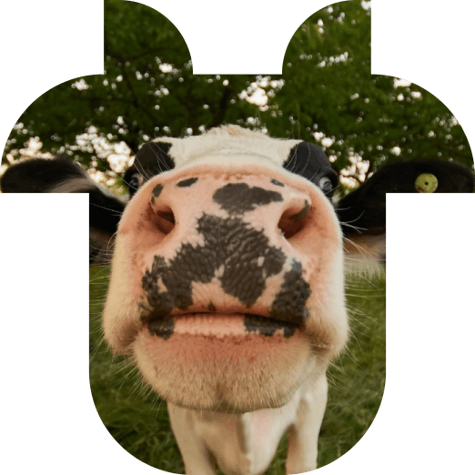 Mootral | Enterix™