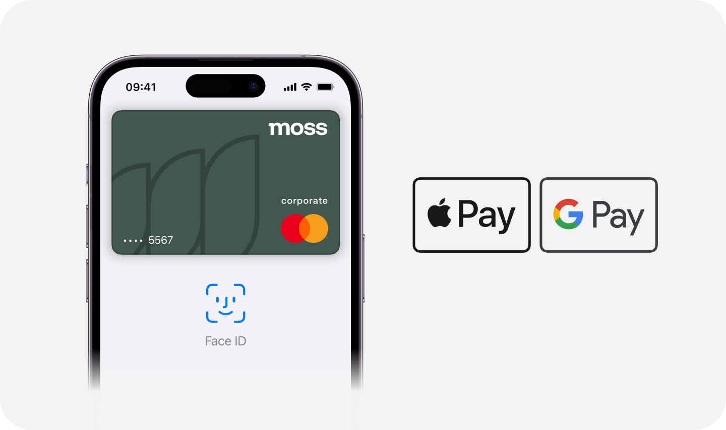 Apple & Google Pay, displays, and much more: the December highlights