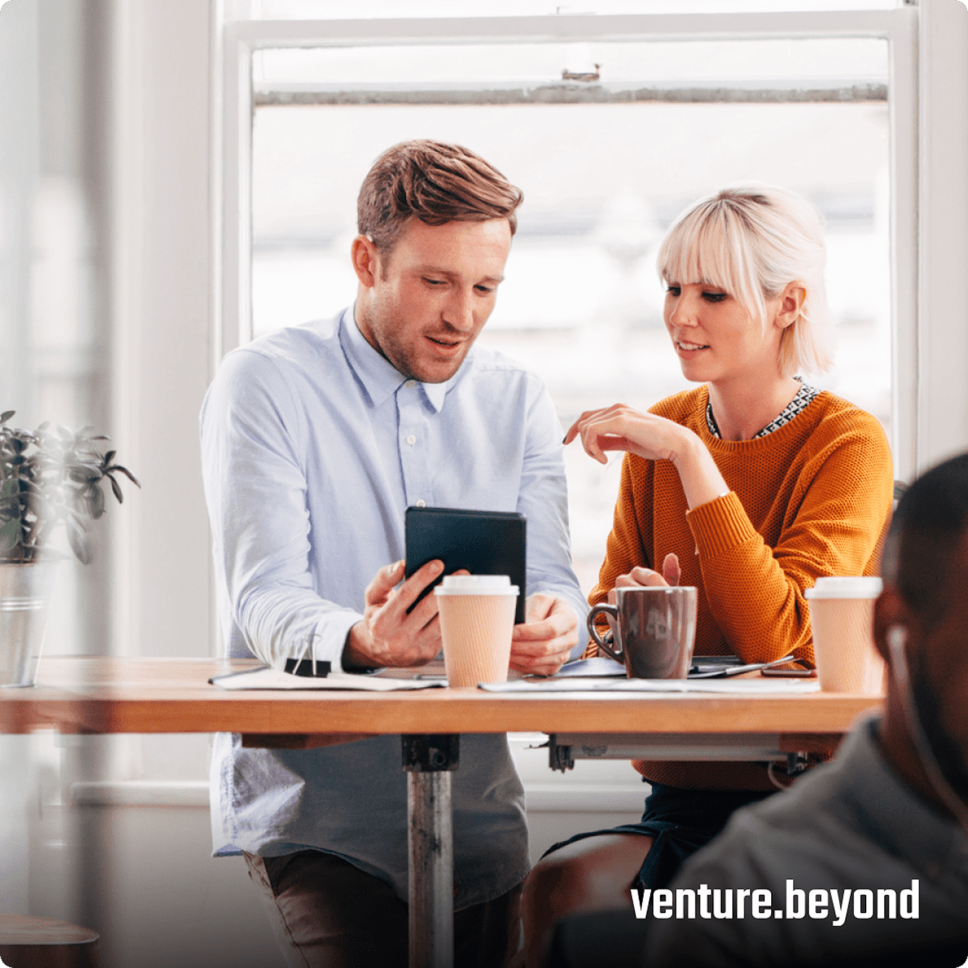 Moss Prices | How much does the Moss Platform cost?