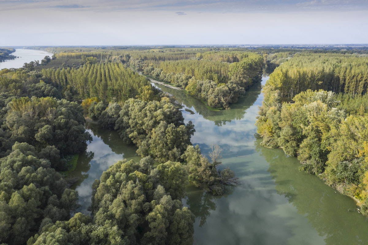 Slovakia - Restoring The Floodplain Forests of the Danube
