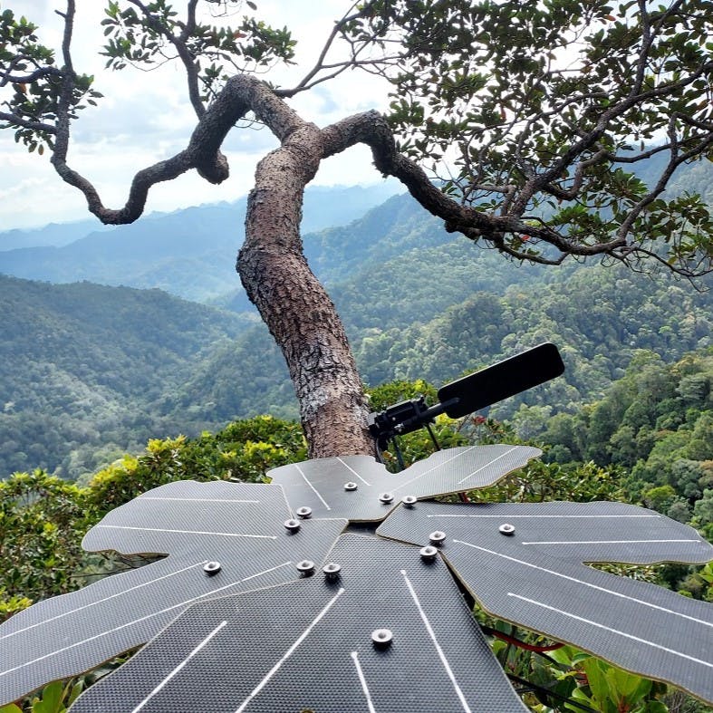 Using Technology to Combat Poaching in Romania