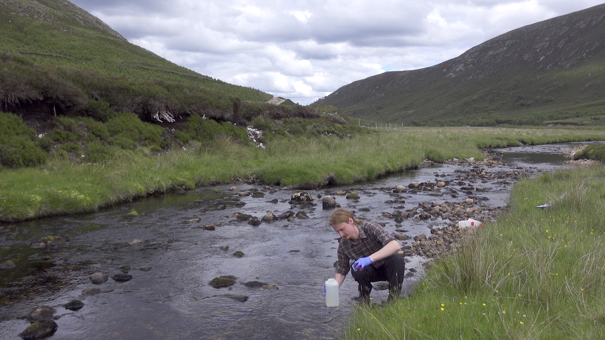 Freshwater Pearl Mussels Survey