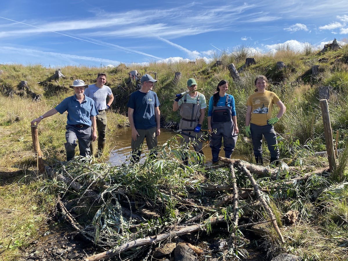 Riparian Restoration at Glassie Farm
