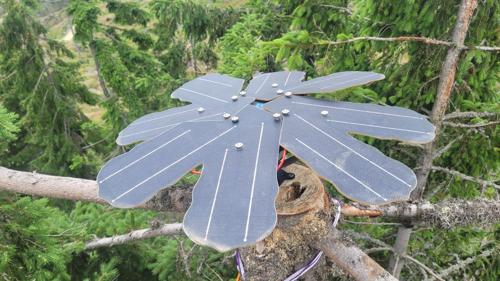 Conservation Evidence