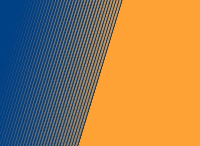 Motorola Solutions Guidelines - Colors