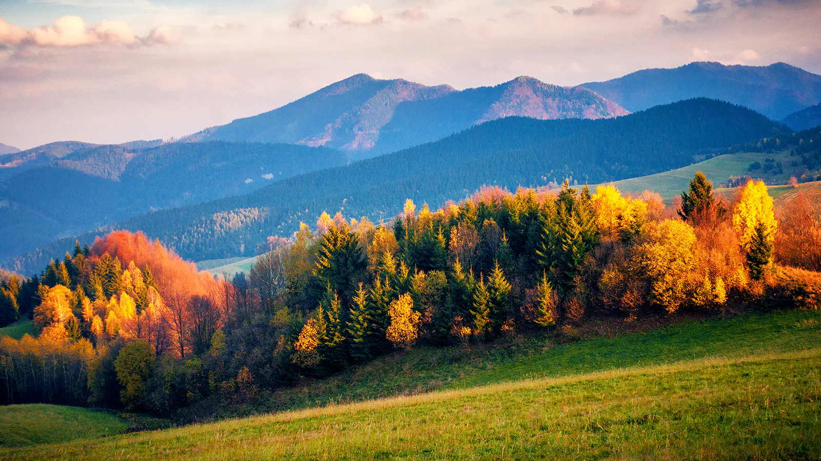 How To View The Most Stunning Fall Foliage This Year How To View The Most Stunning Fall Foliage This Year