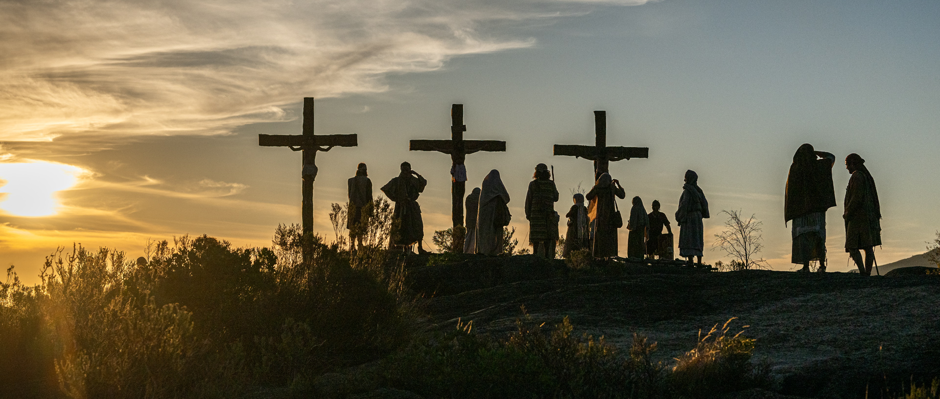 The New Testament Experience | Museum of the Bible