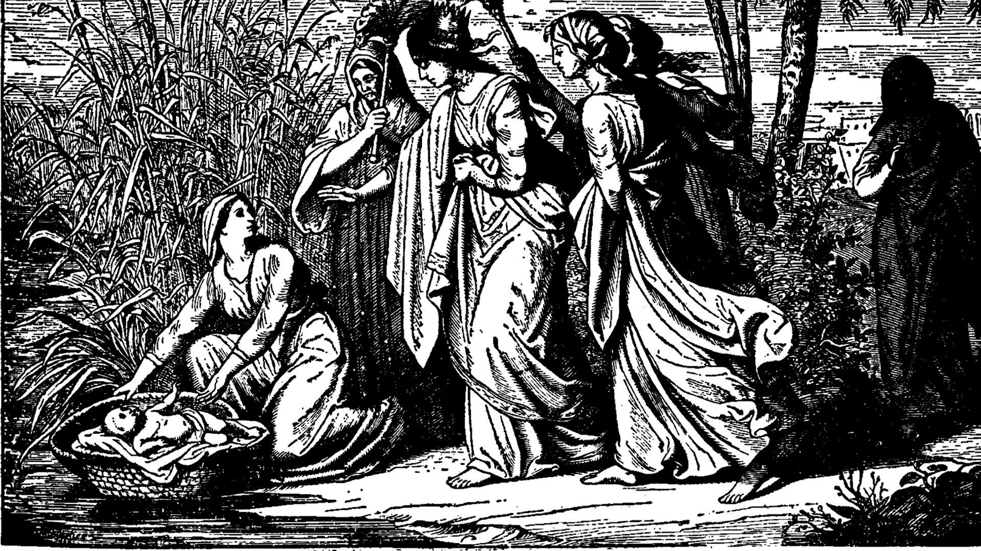 What Is Papyrus? | Museum of the Bible