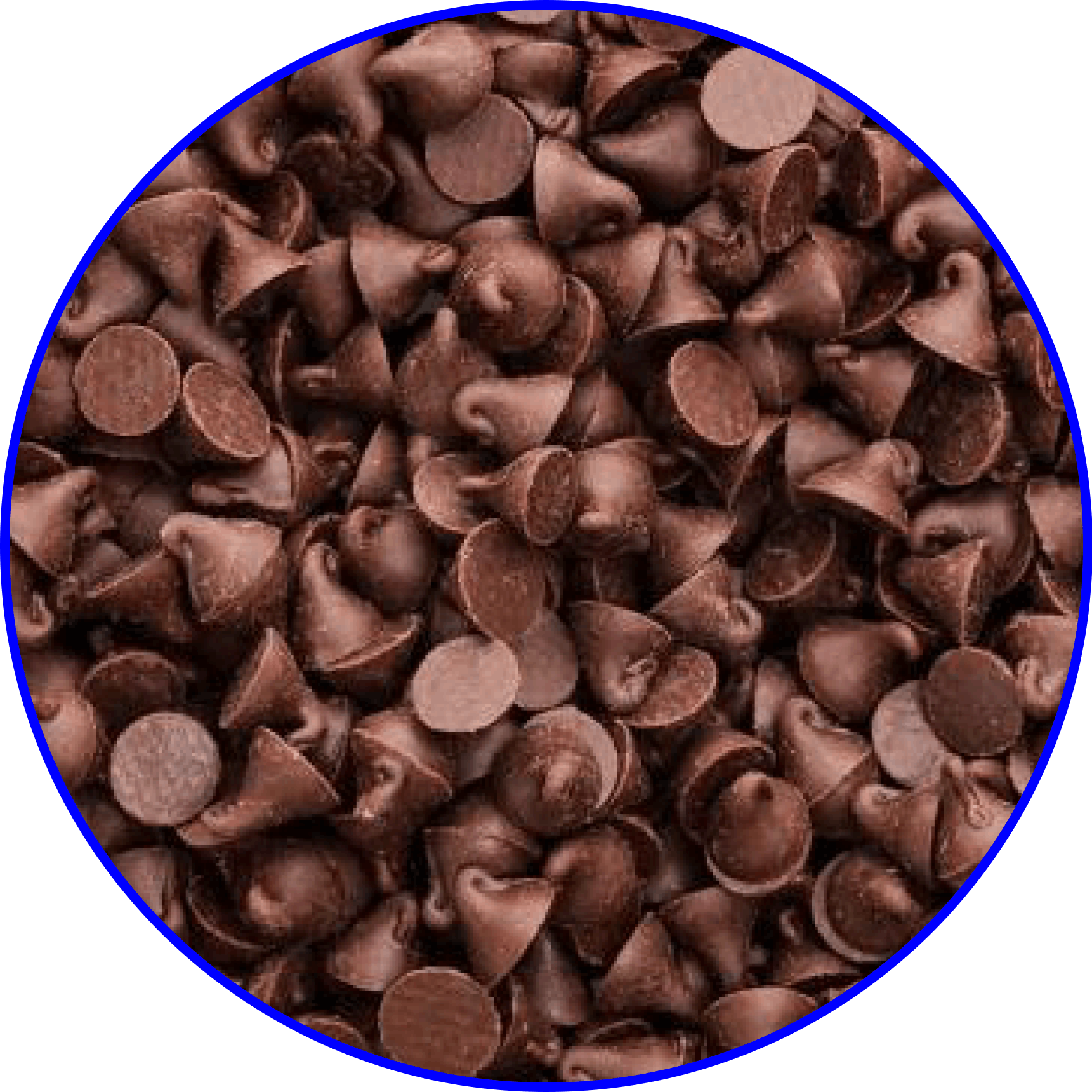 Celebrate Museum Store Sunday with Us | Museum of the Bible